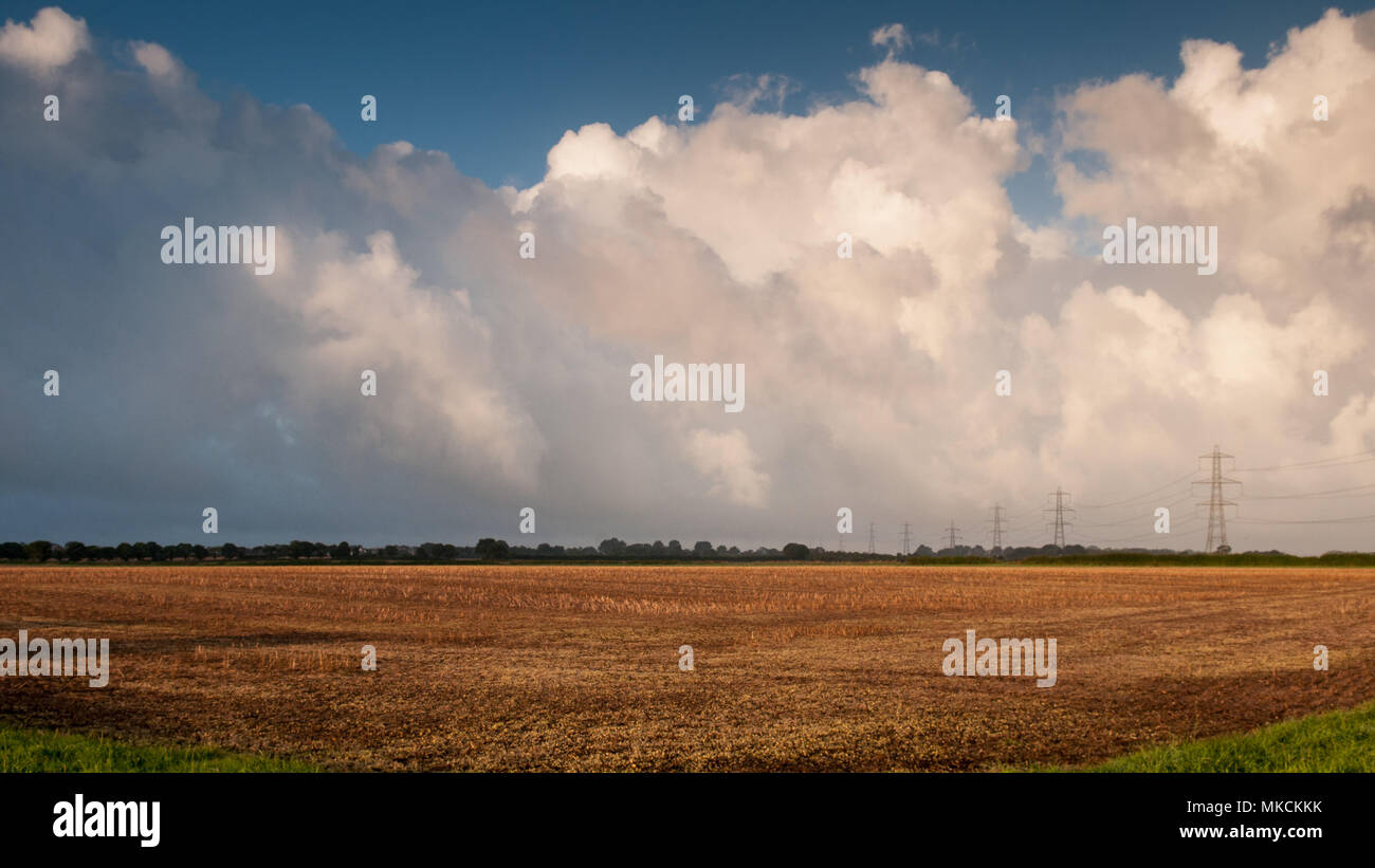 Pylons marching across farmland in the Frome Valley, Dorset, at sunrise ...