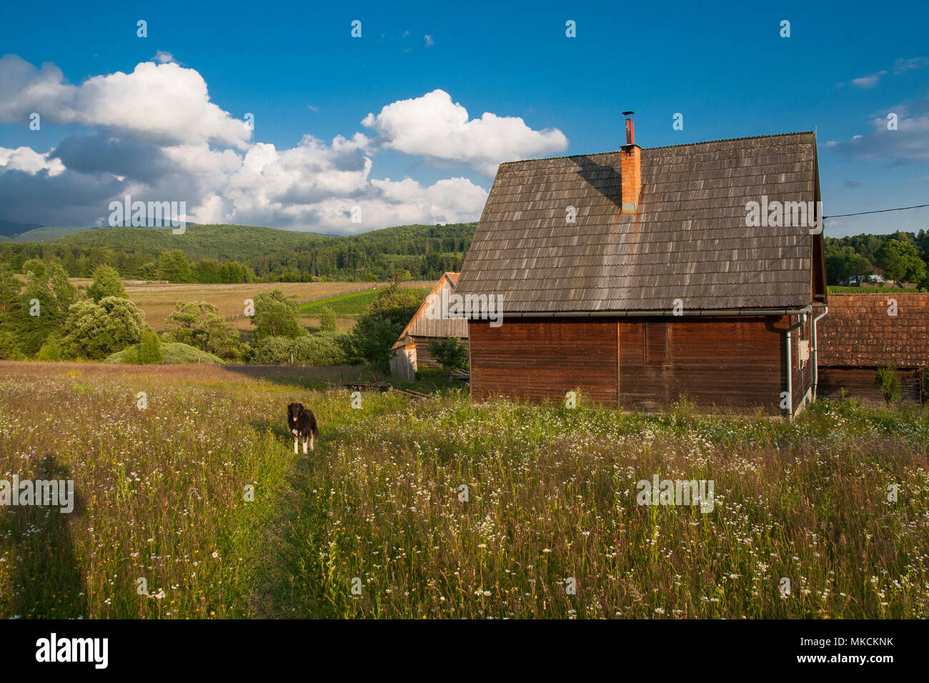Rural wooden house in Transylvania. Beautiful meadow. Romania Stock ...
