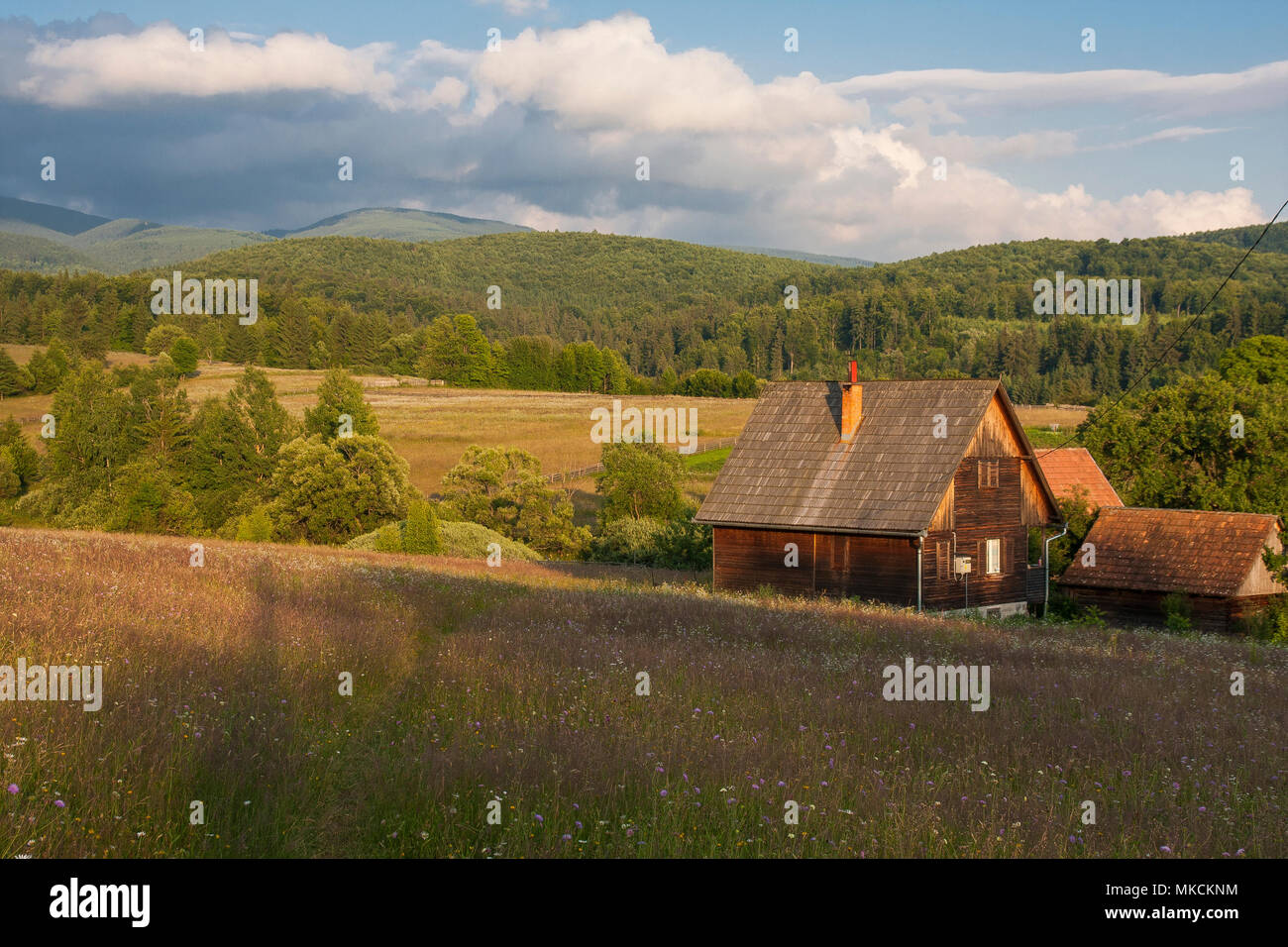 Rural wooden house in Transylvania. Beautiful meadow. Romania Stock ...