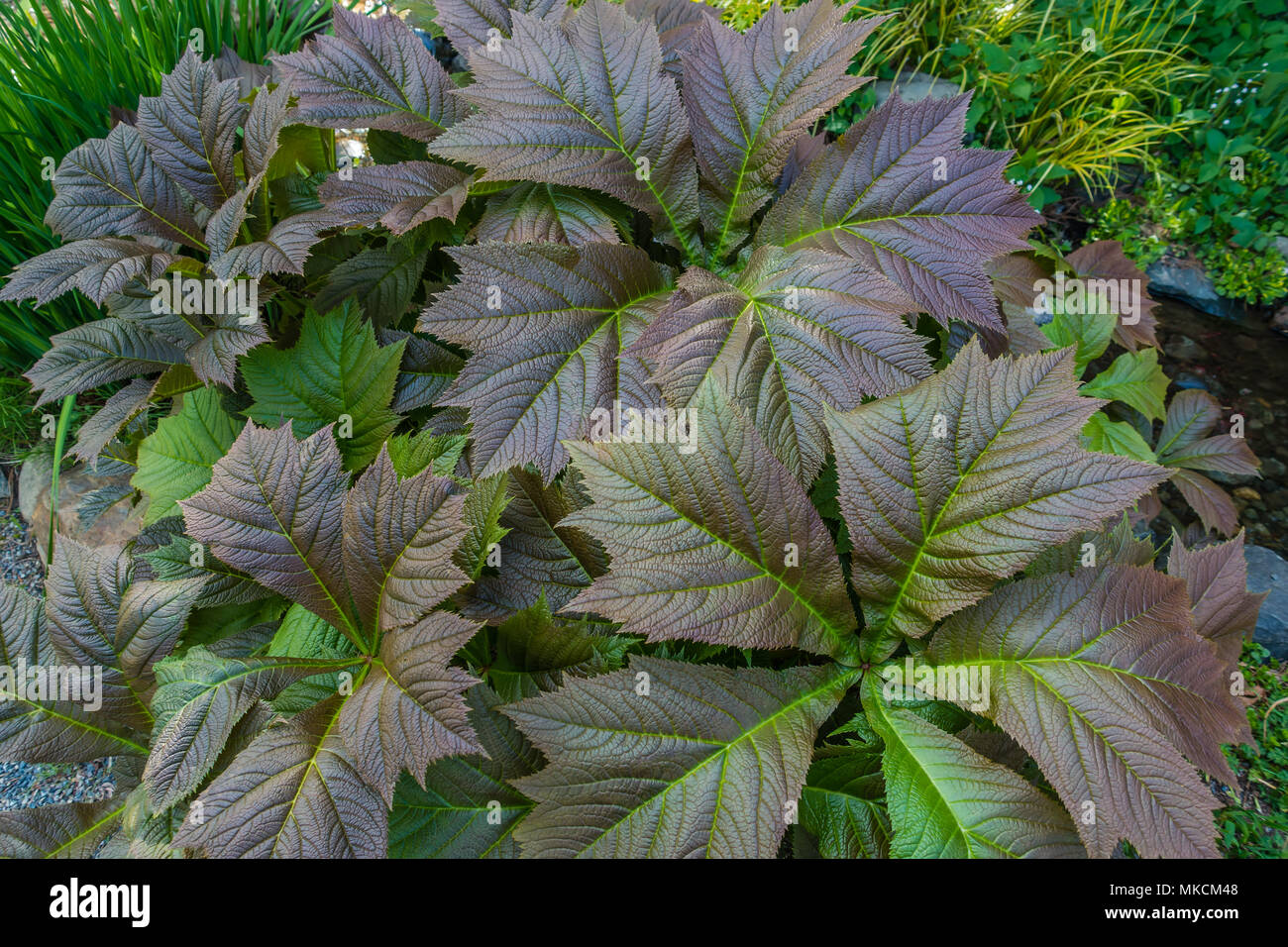 Deep ridges hi-res stock photography and images - Alamy