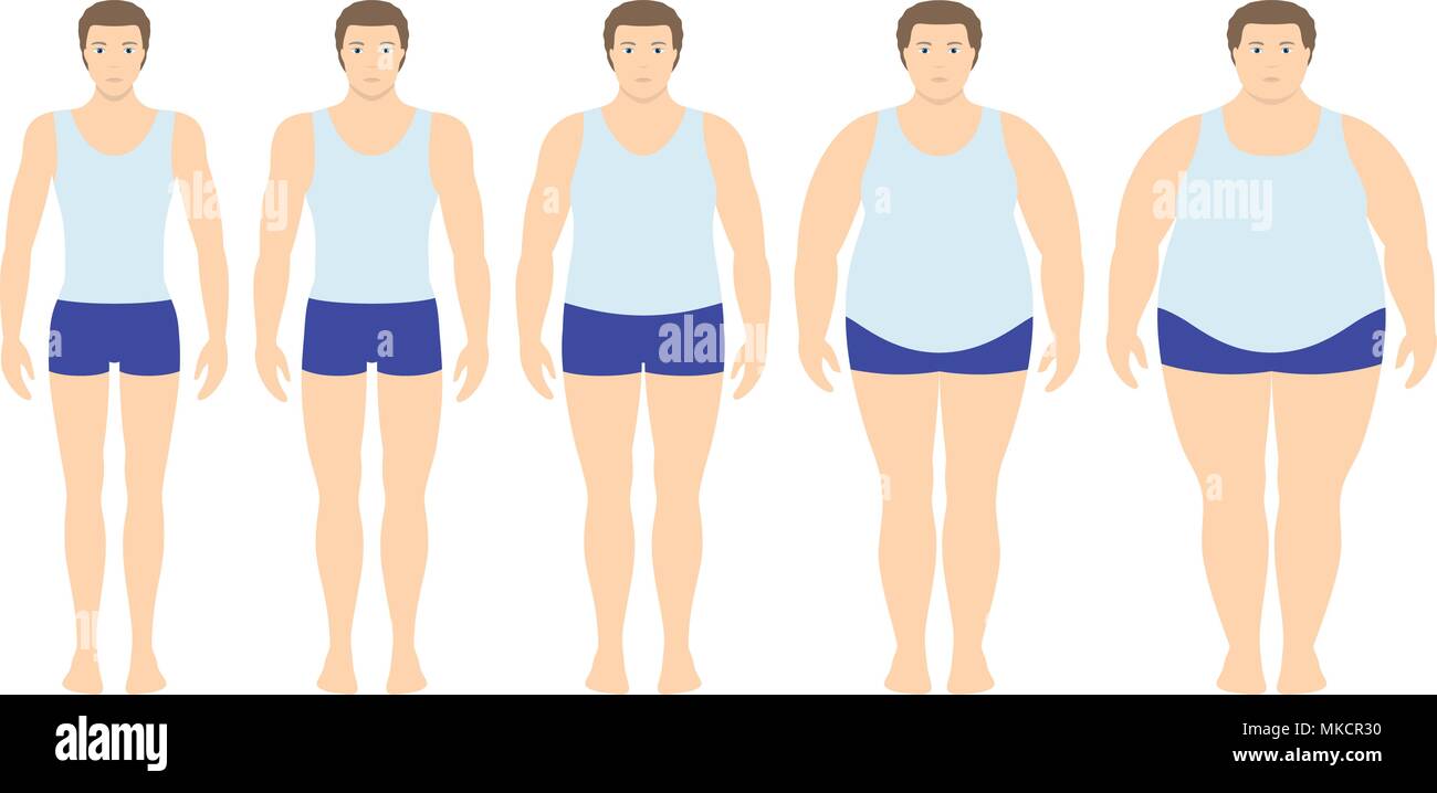 Body mass index vector illustration from underweight to extremely obese ...