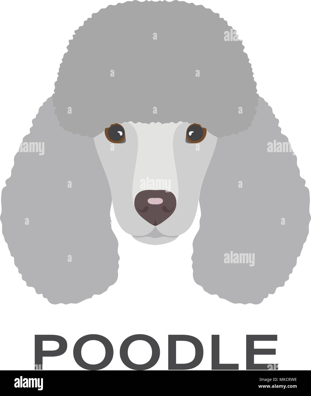 Vector illustration of poodle in flat style. Poodle flat icon Stock Vector Image & Art - Alamy