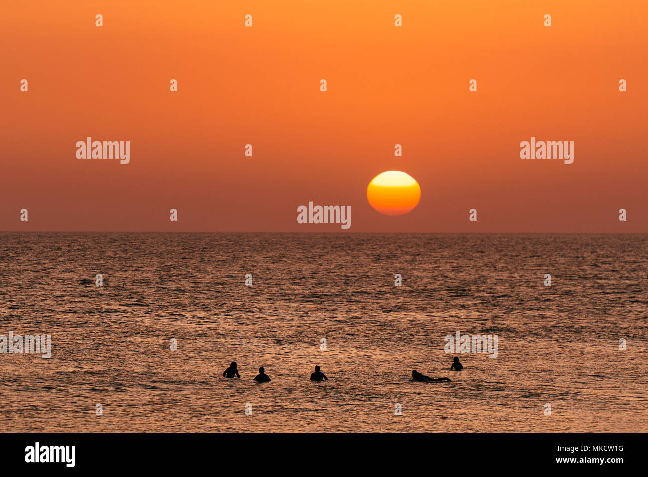 Surfers silhouettes at sunset in a surf spot in the south of Spaoin ...