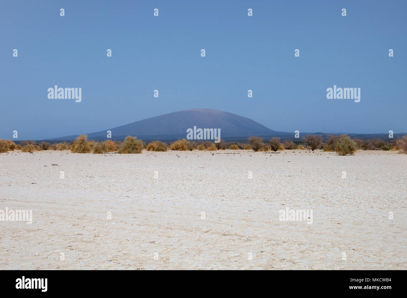 White solonchak soils of the rift valley of Danakil, a blue stormy sky ...