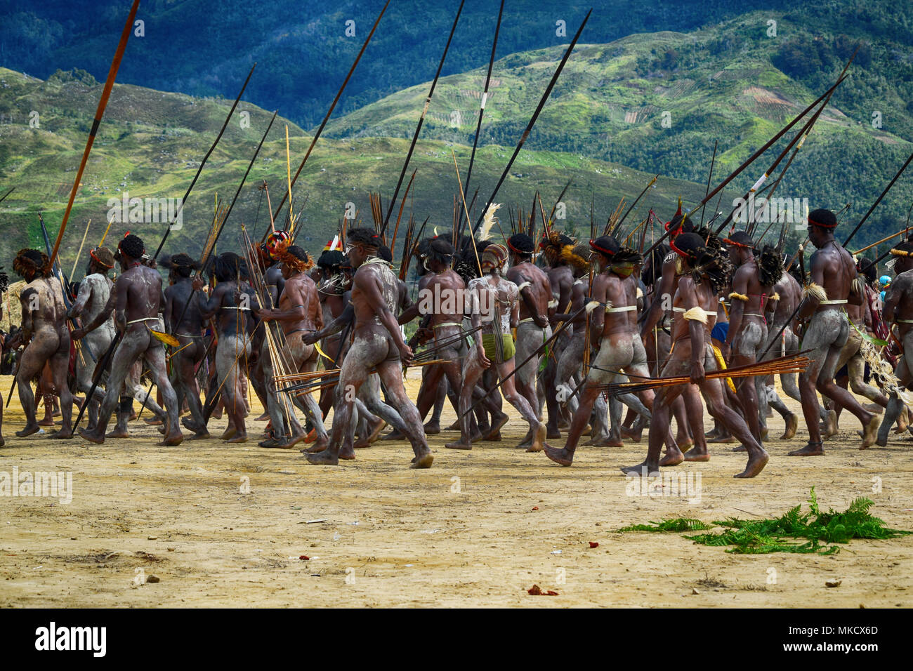 Wamena, Papua, Indonesia, 8/9/2016: Dani warriors at the Baliem Valley ...