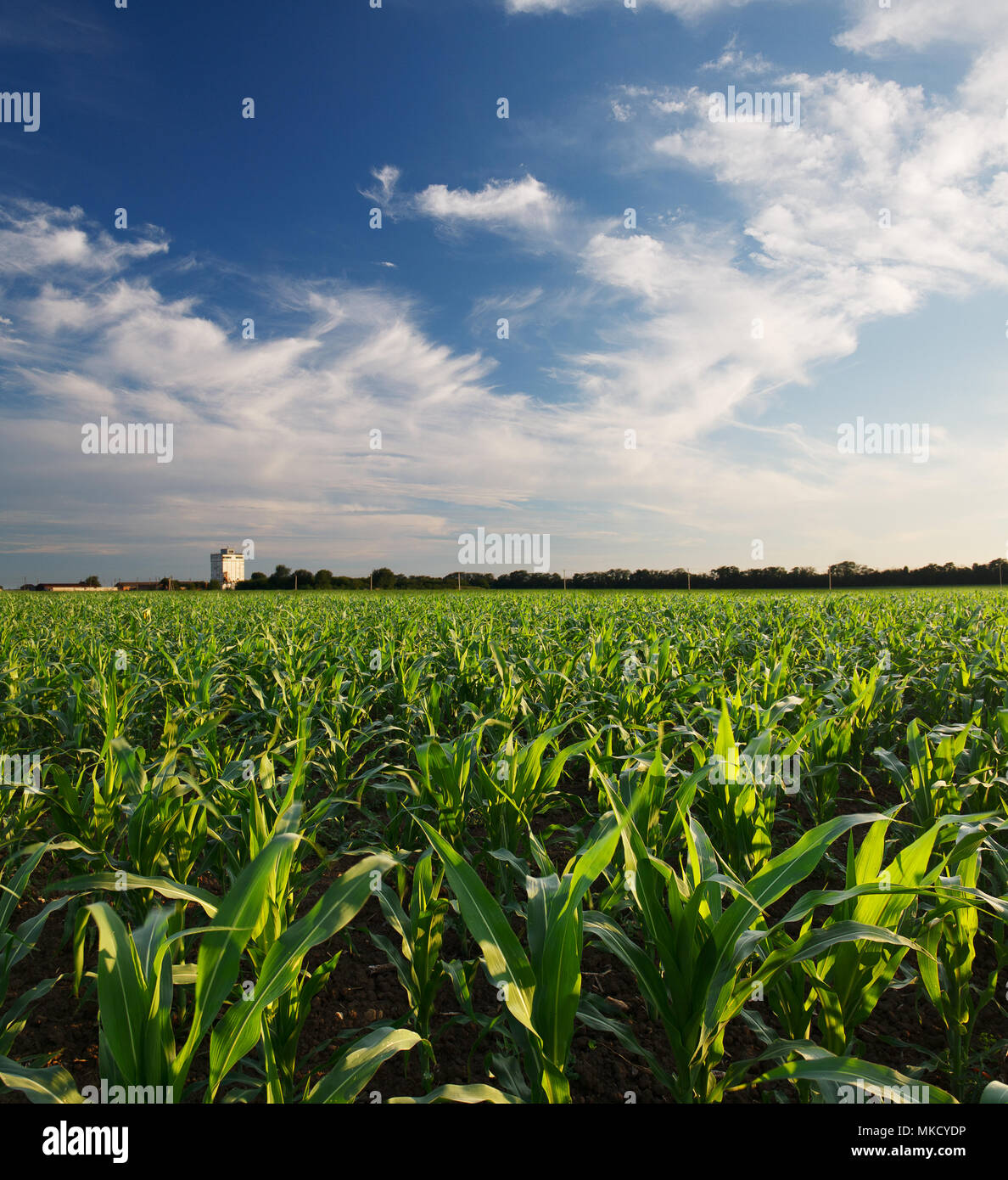 Taganrog hi-res stock photography and images - Alamy