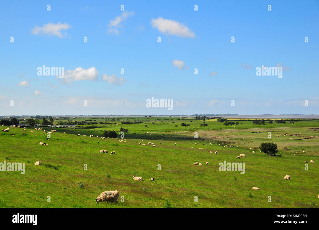 Old glasson caravan park hi-res stock photography and images - Alamy