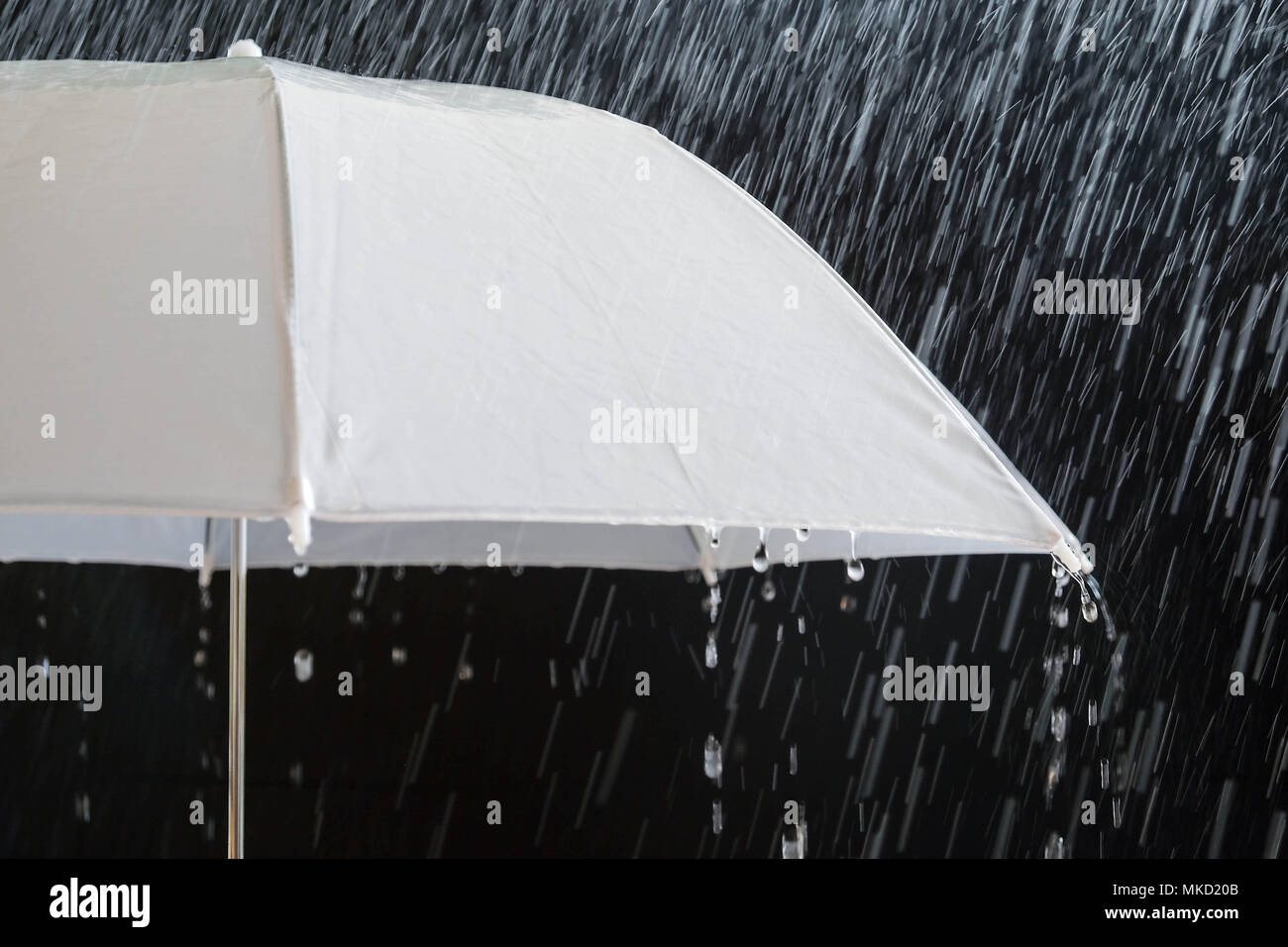 Wet protection umbrella in stormy weather with natural thunderstorm, on ...