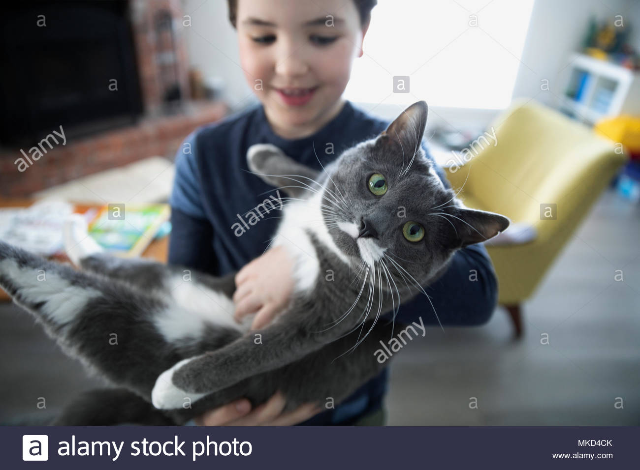 Boy holding cat hi-res stock photography and images - Alamy