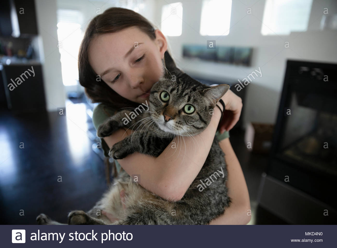 Girl and her cat hi-res stock photography and images - Alamy