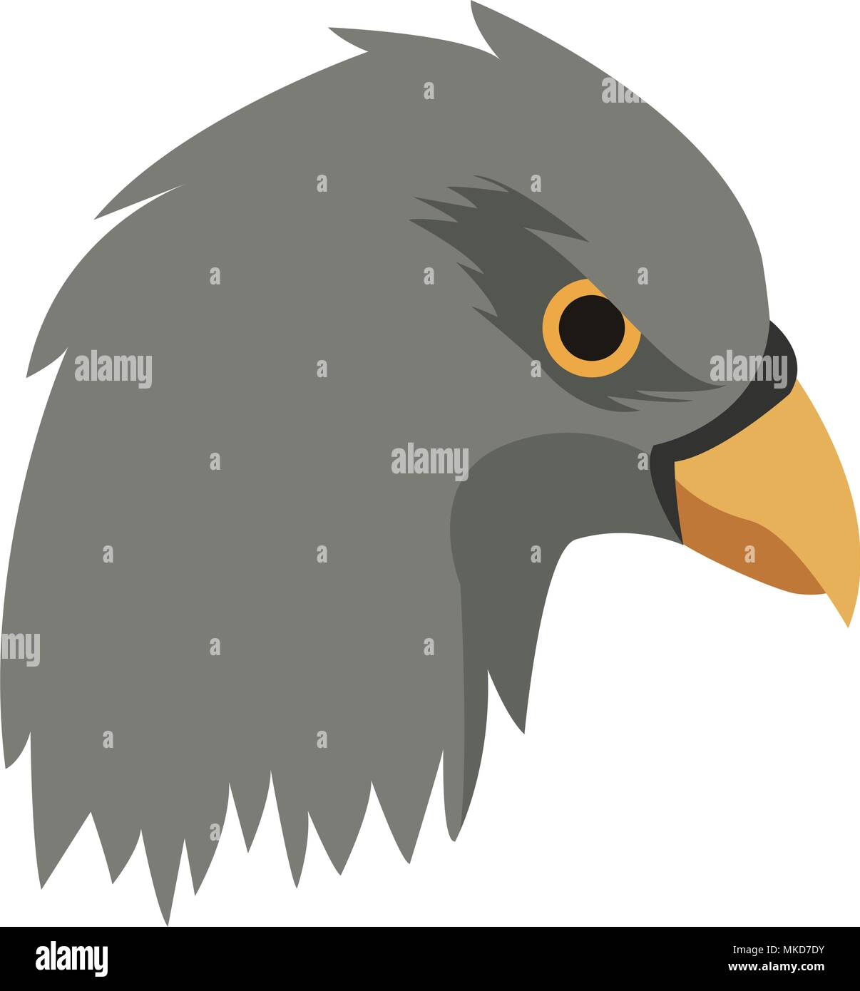 Hawk Cartoon Images