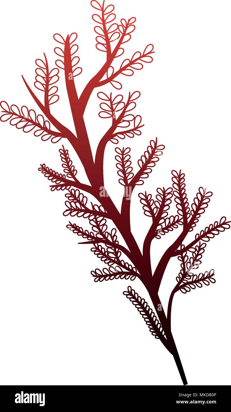 Bouquet of leaves on red lines Stock Vector Image & Art - Alamy