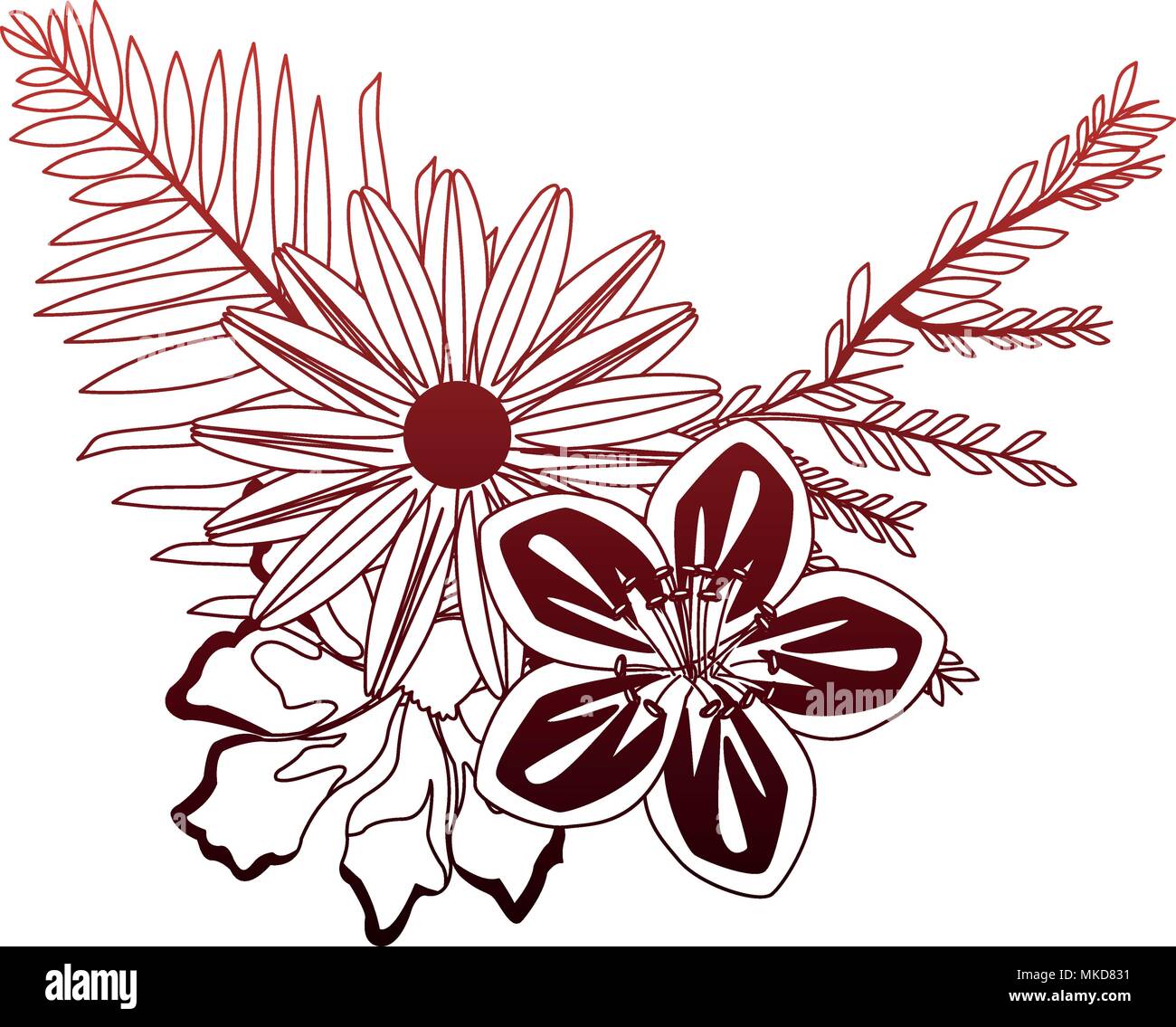Beautiful flowers with leaves on red lines Stock Vector Image & Art - Alamy
