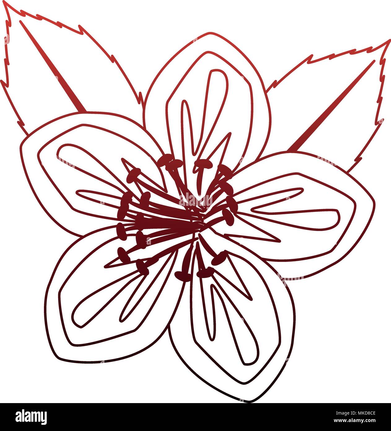 Beautiful flower symbol on red lines Stock Vector Image & Art - Alamy