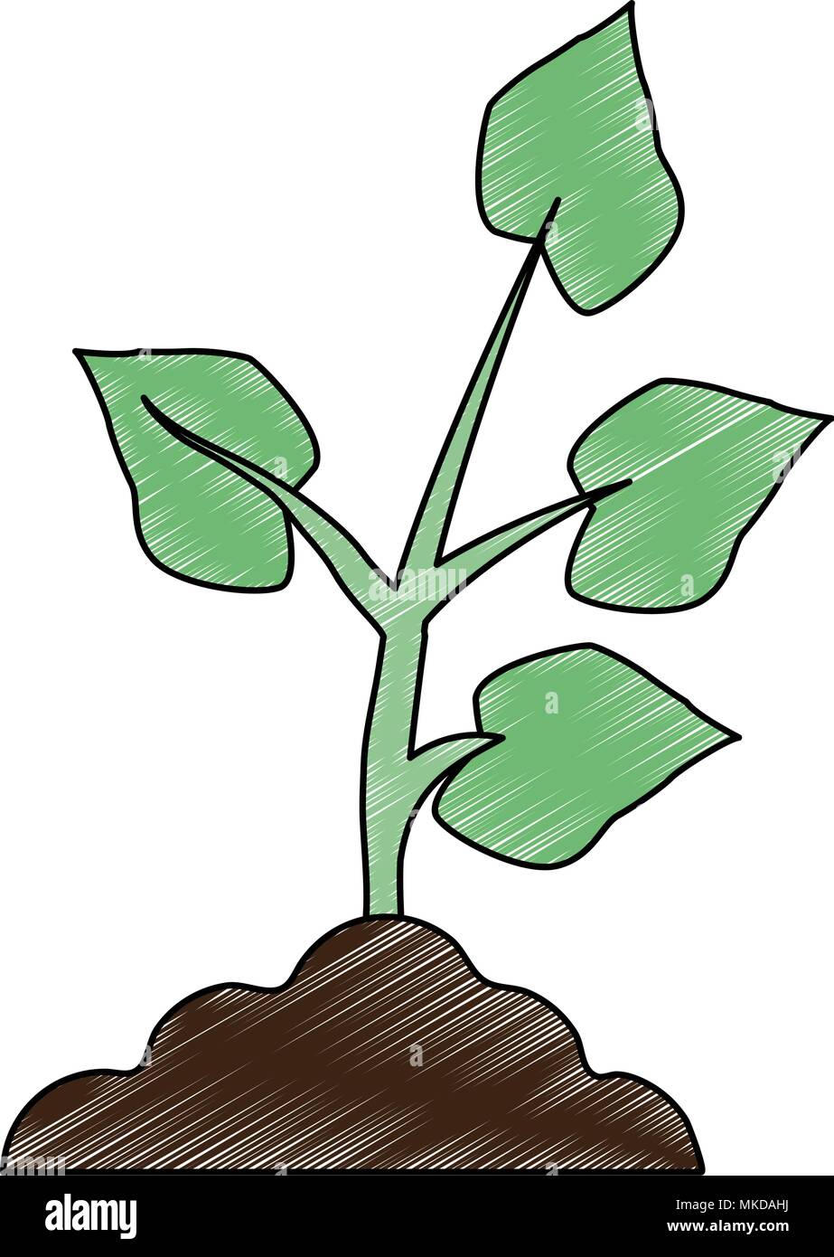 Plant on ground scribble Stock Vector Image & Art - Alamy