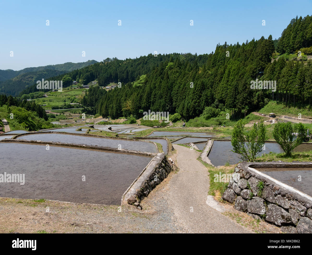 Rice paddy field japan farming hi-res stock photography and images - Alamy