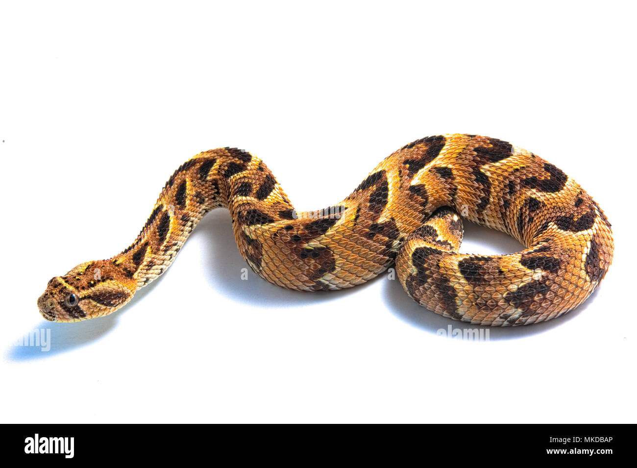 Full adder background hi-res stock photography and images - Alamy