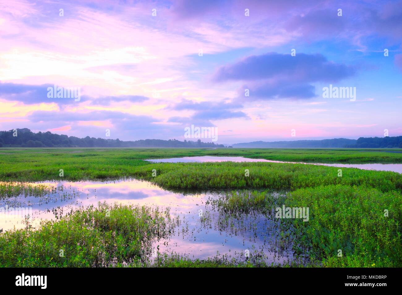 Freshwater bodies hi-res stock photography and images - Alamy