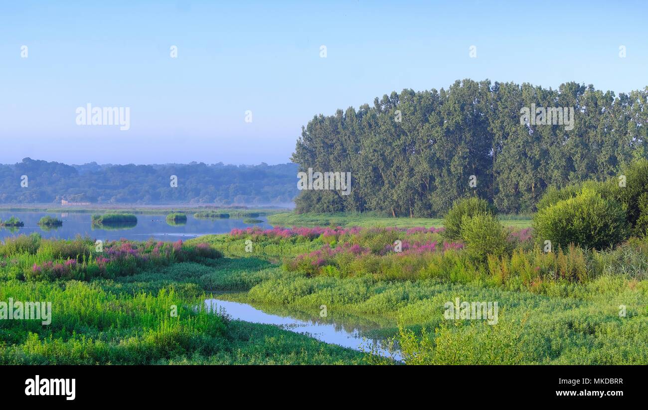 Conservatoire Du Littoral High Resolution Stock Photography and Images ...