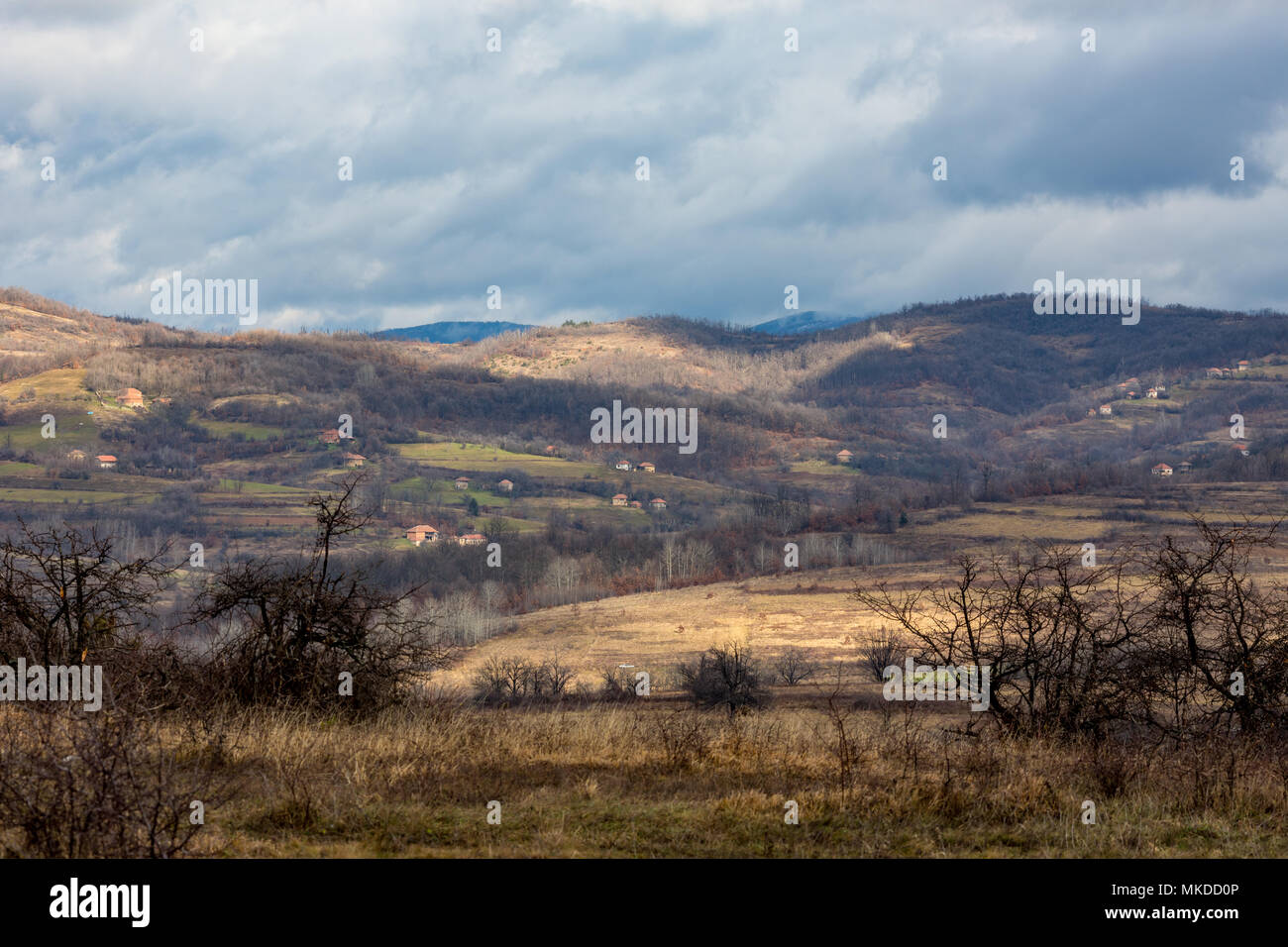 Serbian colors hi-res stock photography and images - Alamy