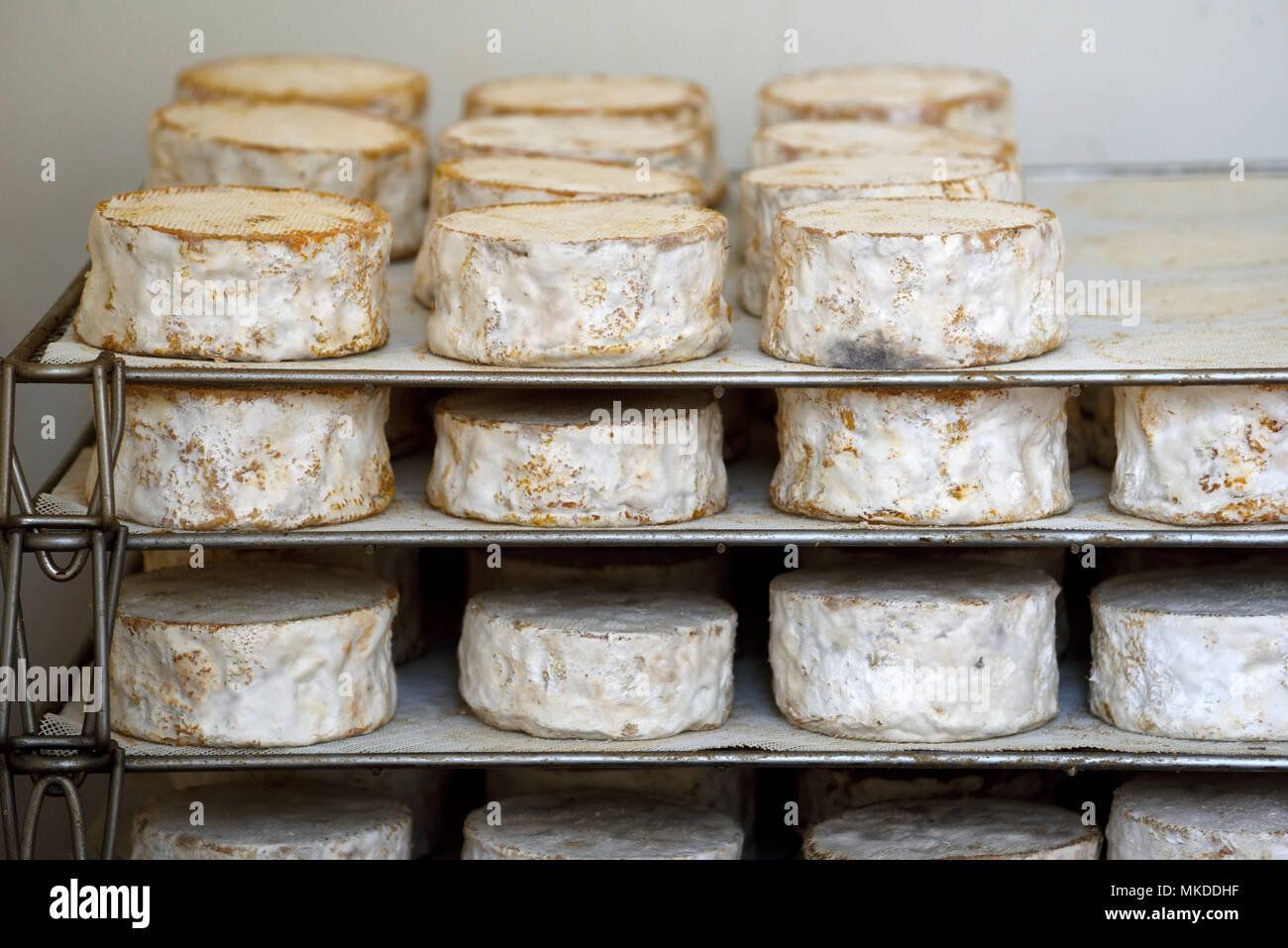 Goat cheese 'Coeur de Chevre', Schott farm, Muhlbach sur Munster, Haut ...