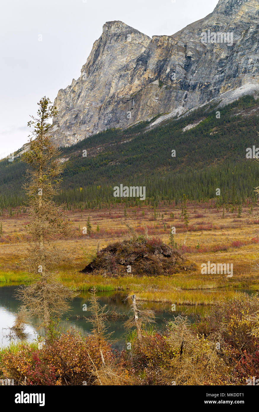 Dalton Highway : from Fairbanks to Prudhoe Bay, (mile 204), Frost ...