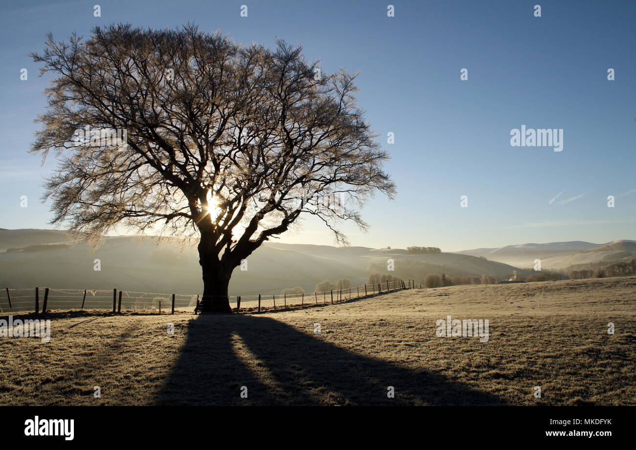 Scottish sunrise hi-res stock photography and images - Alamy