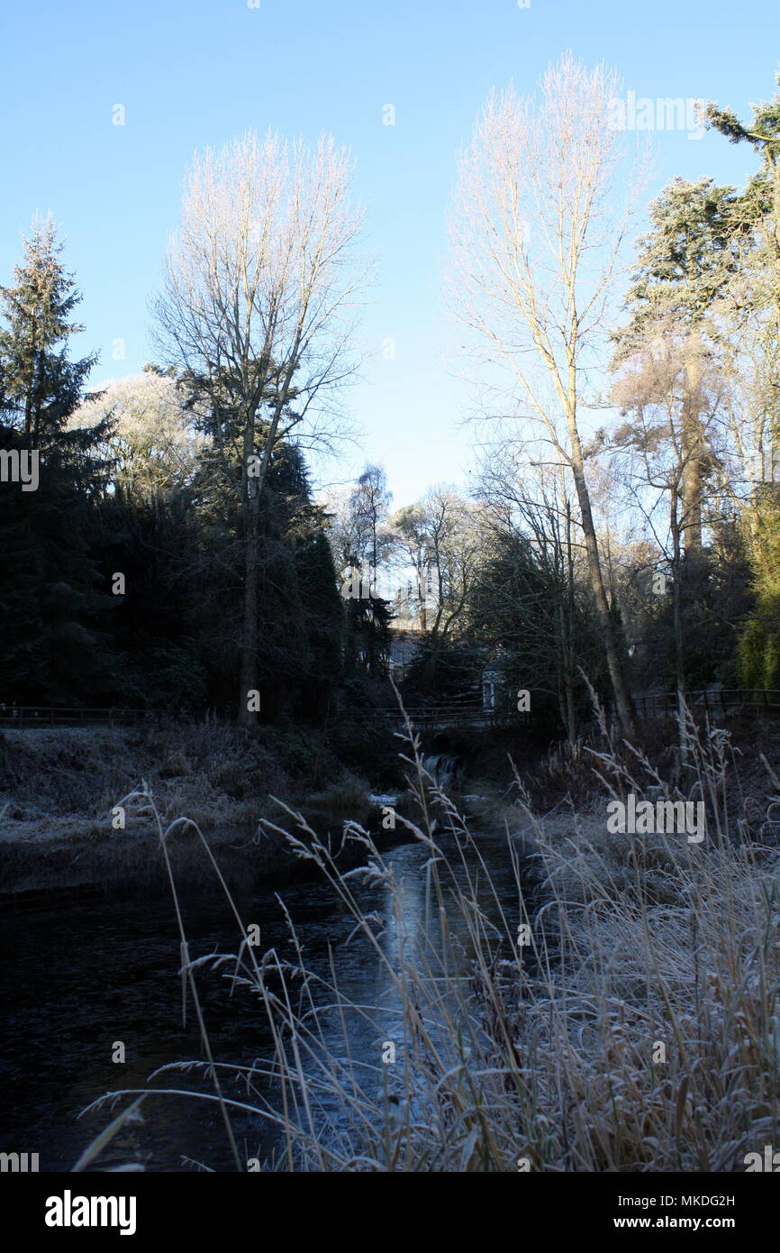 Scottish winter morning hi-res stock photography and images - Alamy