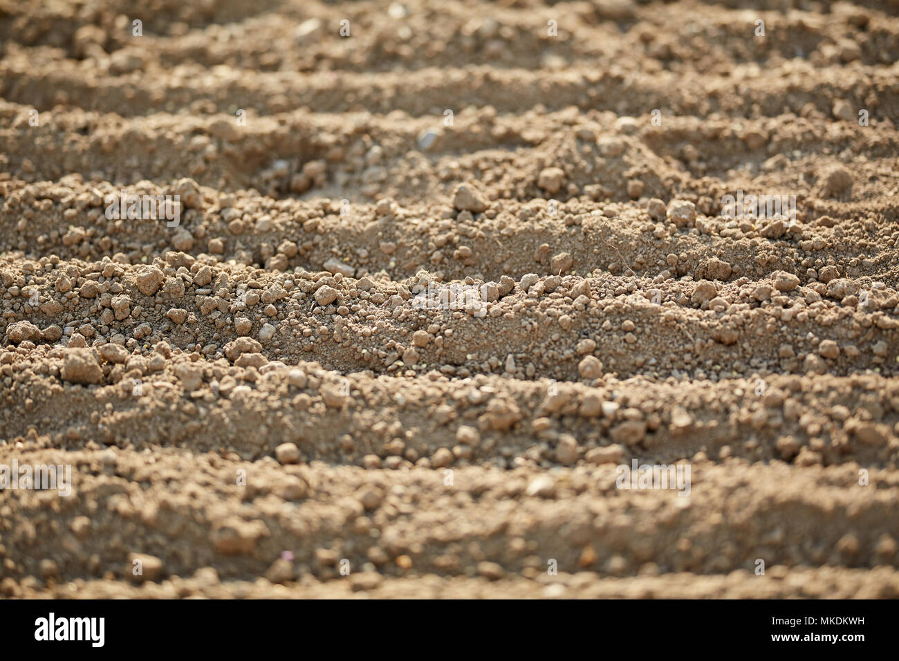 Ploughed and harrowed field hi-res stock photography and images - Alamy