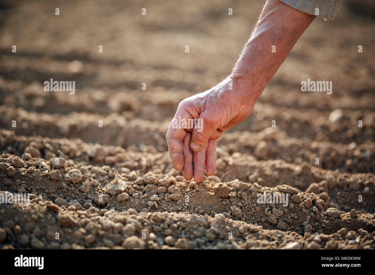 Hand Plough Stock Photos & Hand Plough Stock Images - Alamy