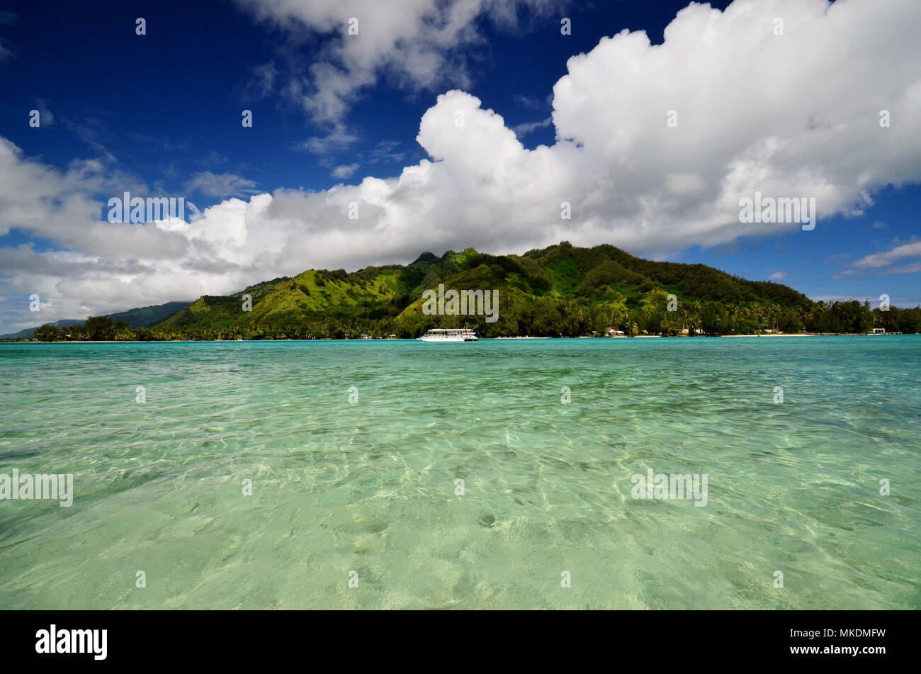 Tahiti french polynesia vegetation hi-res stock photography and images ...
