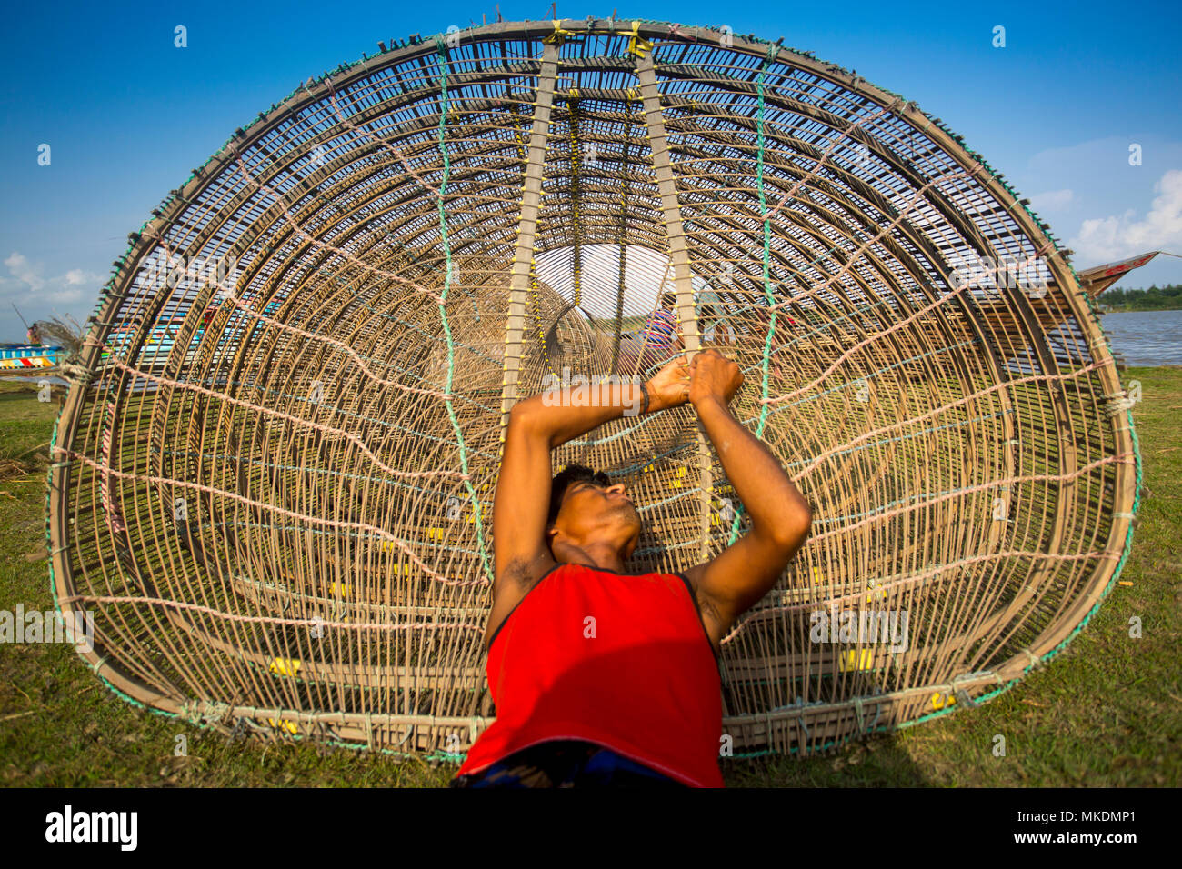 Traditional Pangas Catfish fishing traps made of a Bamboo sticks in ...