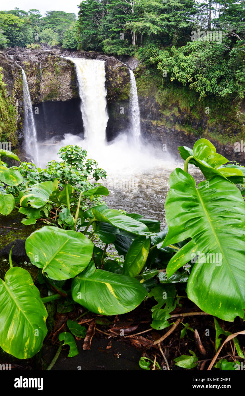 Rainbow Falls waterfall Hilo Hawaii Stock Photo - Alamy