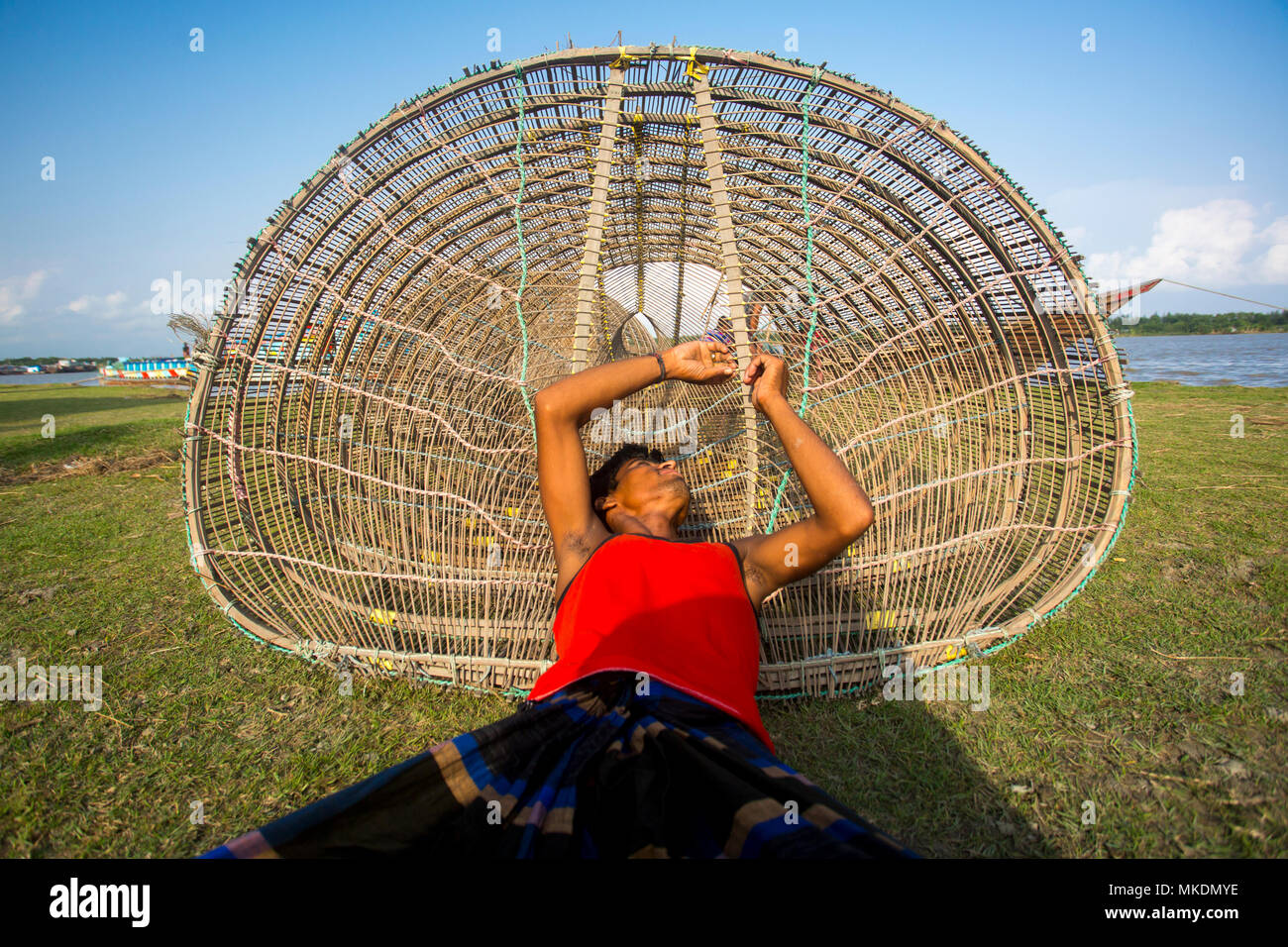 Traditional Pangas Catfish fishing traps made of a Bamboo sticks in ...
