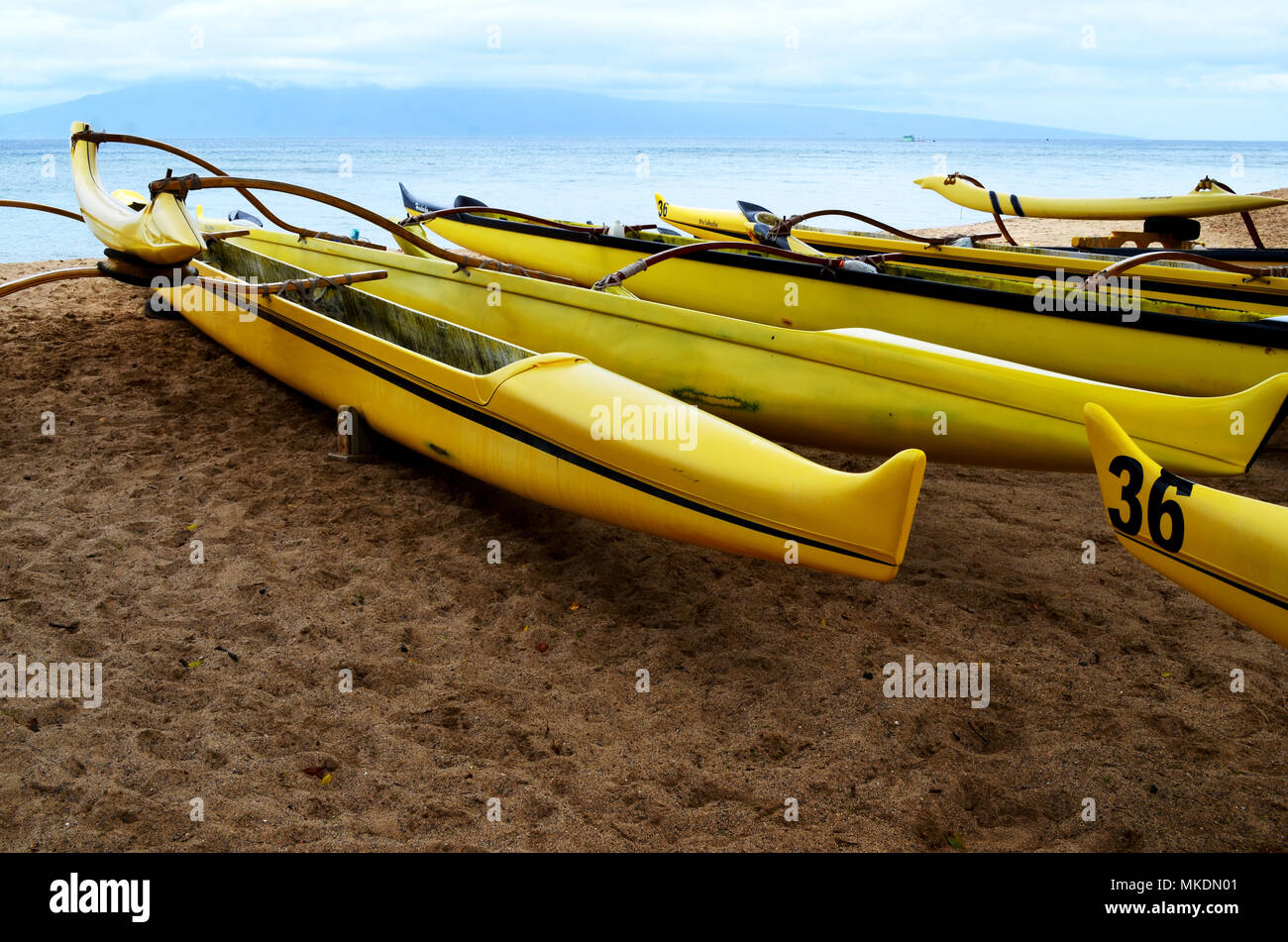 Racing canoe boats on beach Stock Photo - Alamy