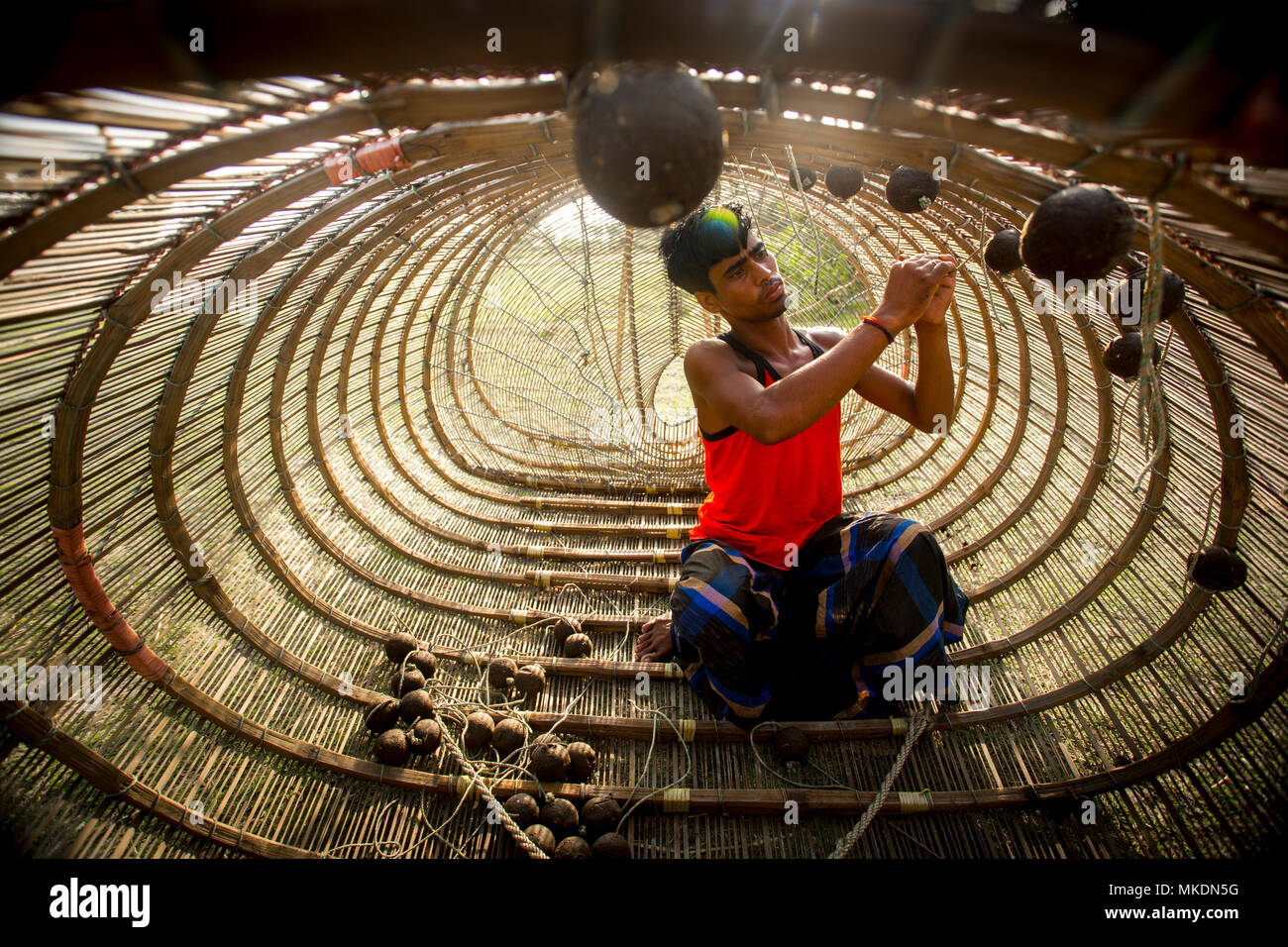 Traditional Pangas Catfish fishing traps made of a Bamboo sticks in ...