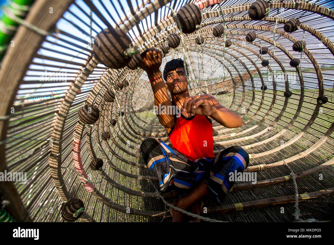 Traditional Pangas Catfish fishing traps made of a Bamboo sticks in ...