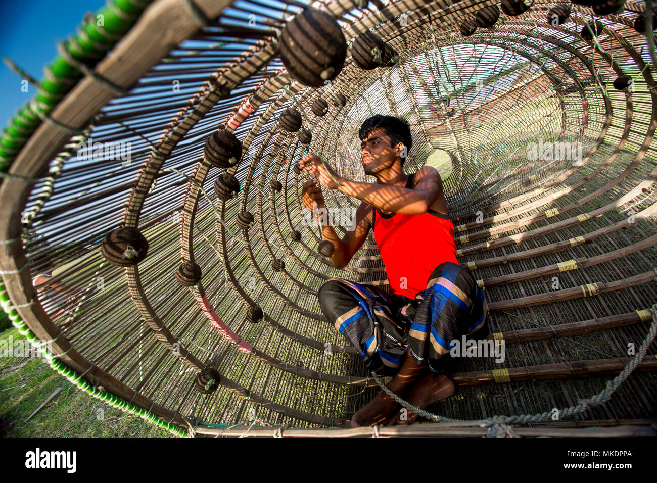 Traditional Pangas Catfish fishing traps made of a Bamboo sticks in ...