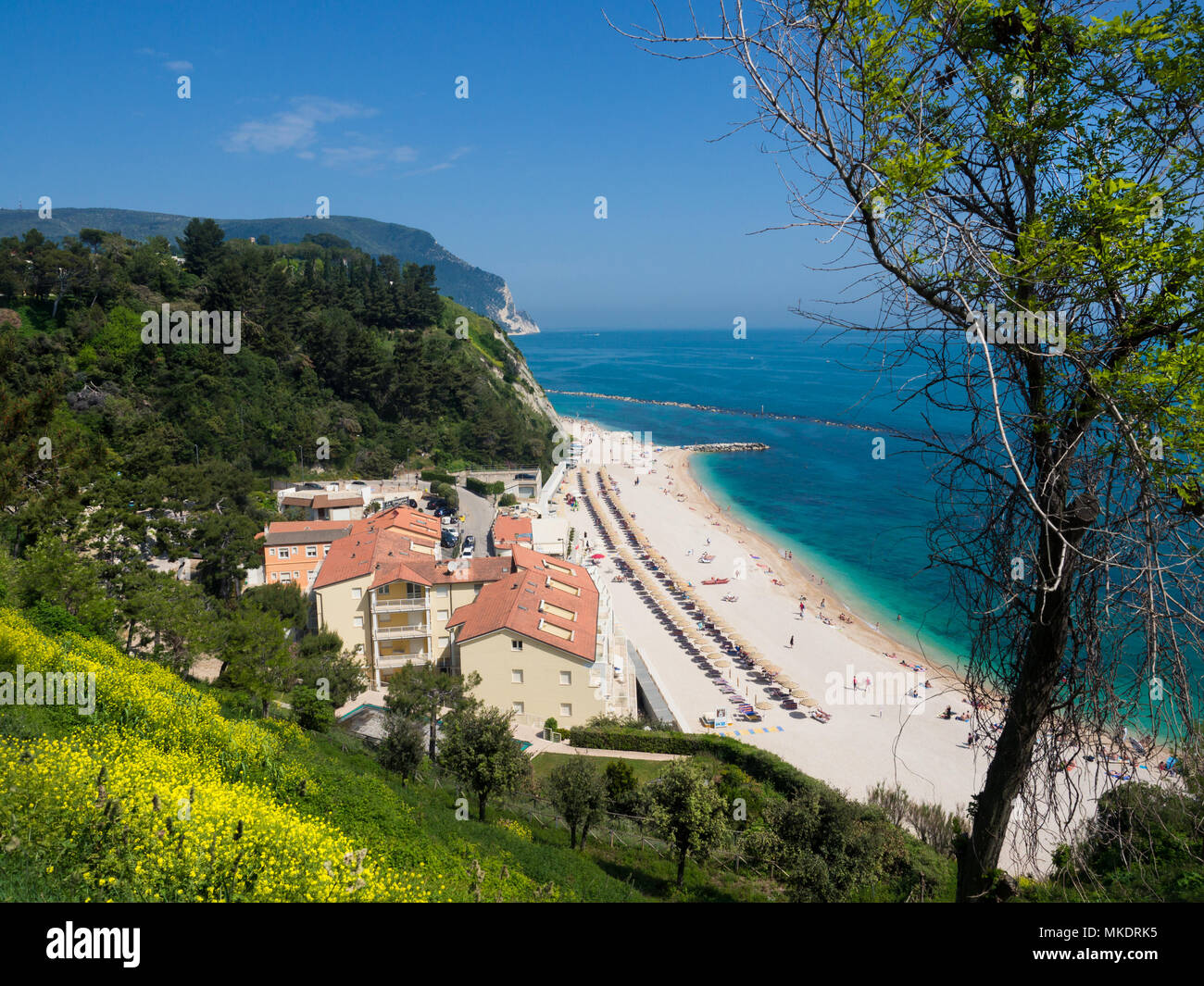 The wonderful and unspoiled beach of Numana, mount Conero, Italy Stock ...