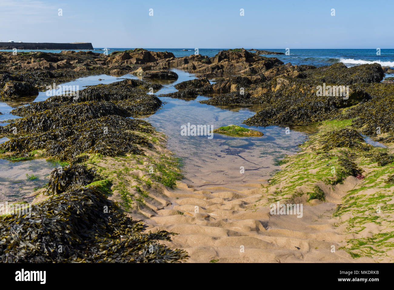 Rock pool for kids hi-res stock photography and images - Alamy