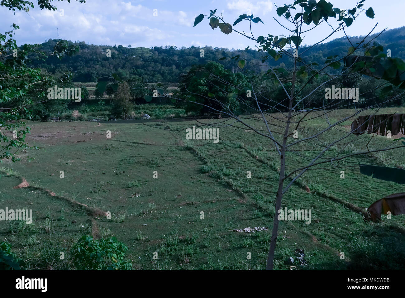 Cold screensaver wallpaper hi-res stock photography and images - Alamy