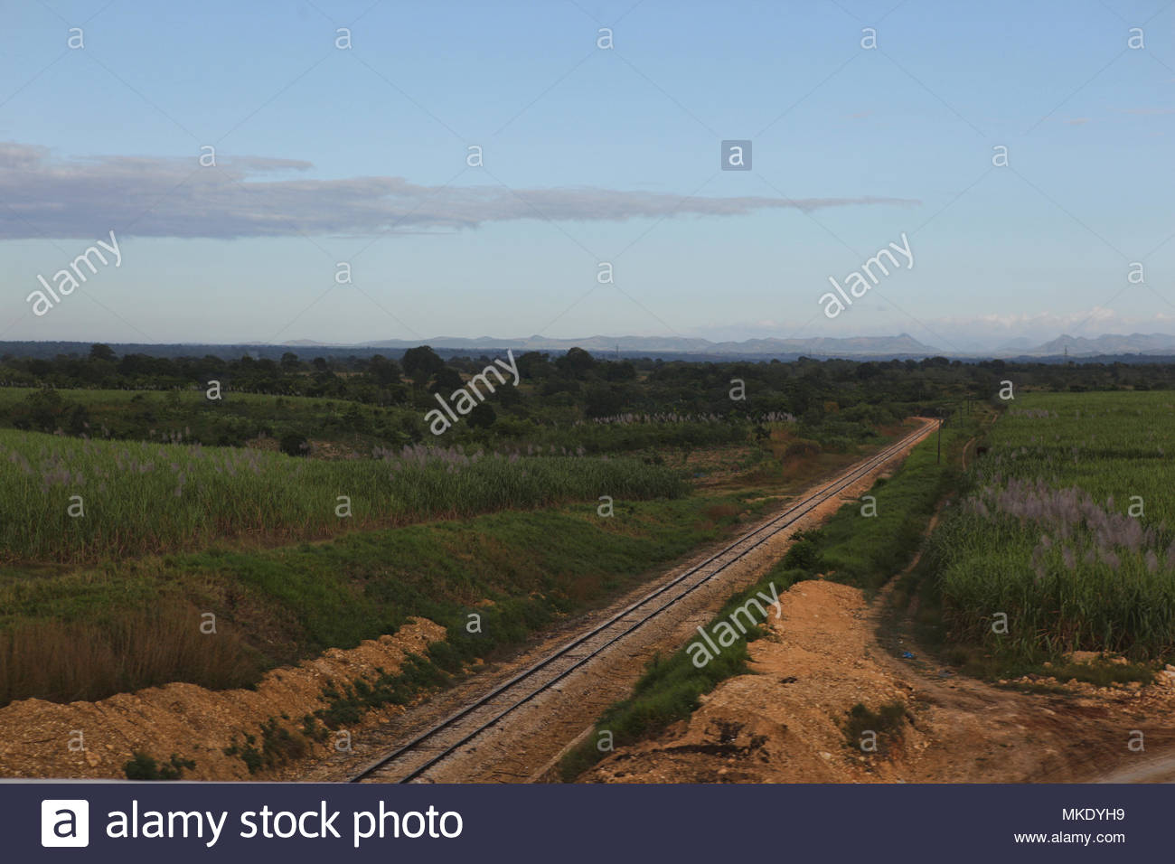 Sugarcane Railway High Resolution Stock Photography and Images - Alamy