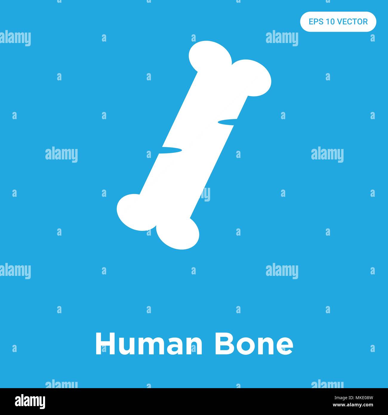 Human Bone vector icon isolated on blue background, sign and symbol ...