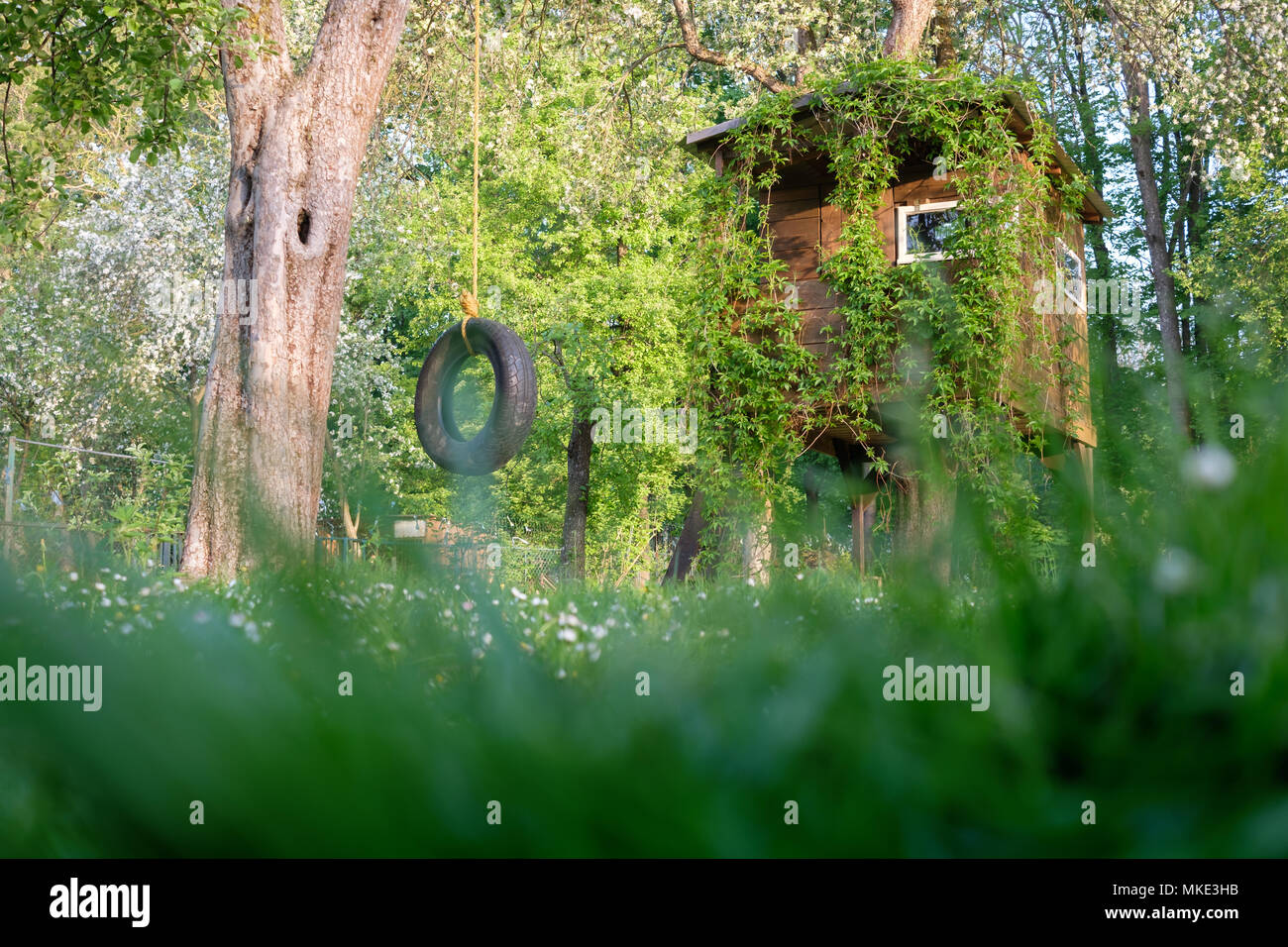 Wood tree house kids hi-res stock photography and images - Alamy