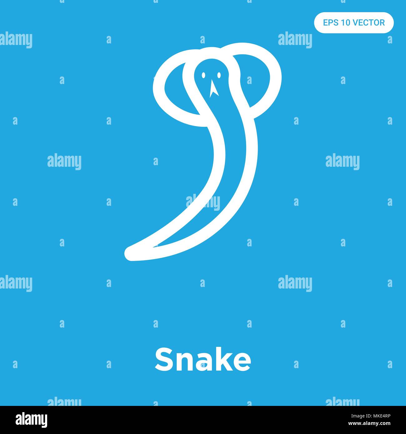 Snake png hi-res stock photography and images - Alamy