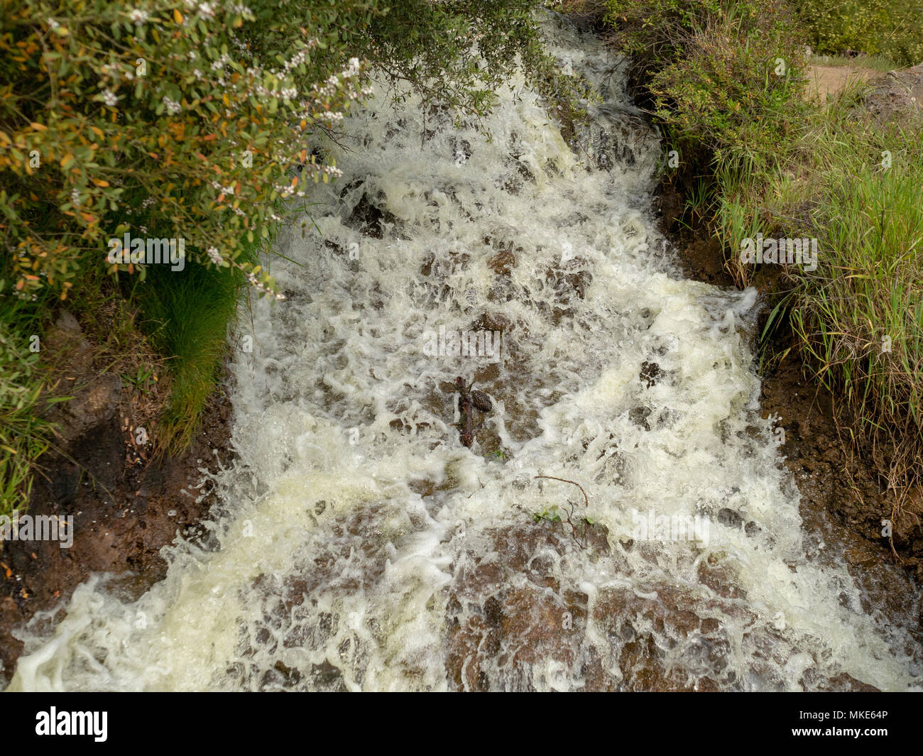 Flowing, dirty stream flowing towards view during cloudy day Stock ...