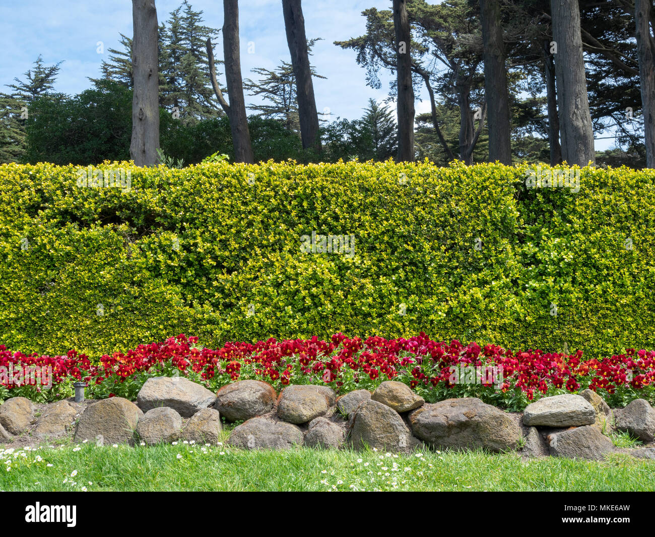 Decorative stone, flower, and bush wall outdoors outdoors in the sun ...