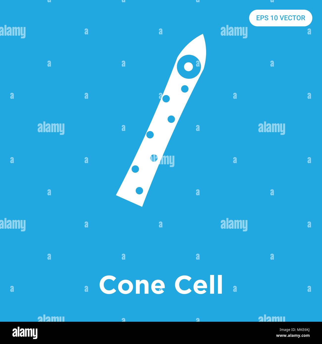 Rod and cone cells Stock Vector Images - Alamy