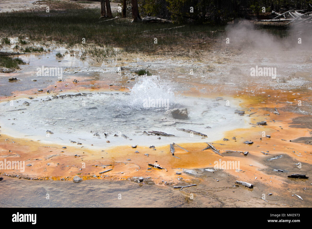 Yellowstone park geyser hi-res stock photography and images - Alamy