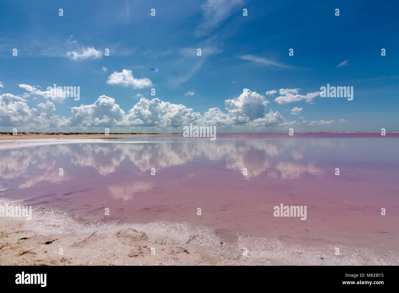 Pink salt deposit in Yucatan Mexico. Intense pink water against deep ...